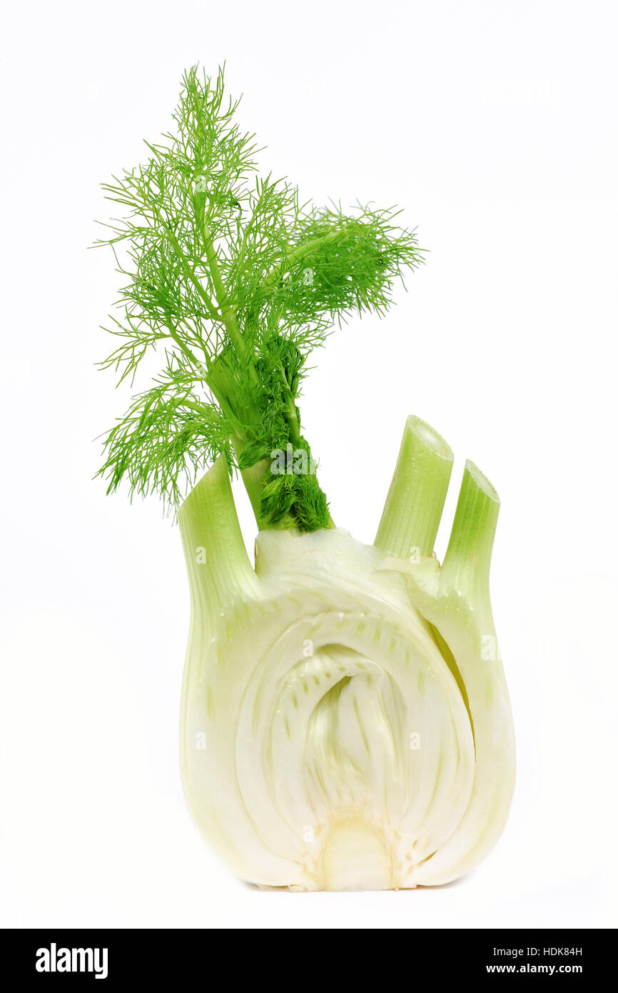 Fresh fennel cut just harvested, photographed on white background Stock ...