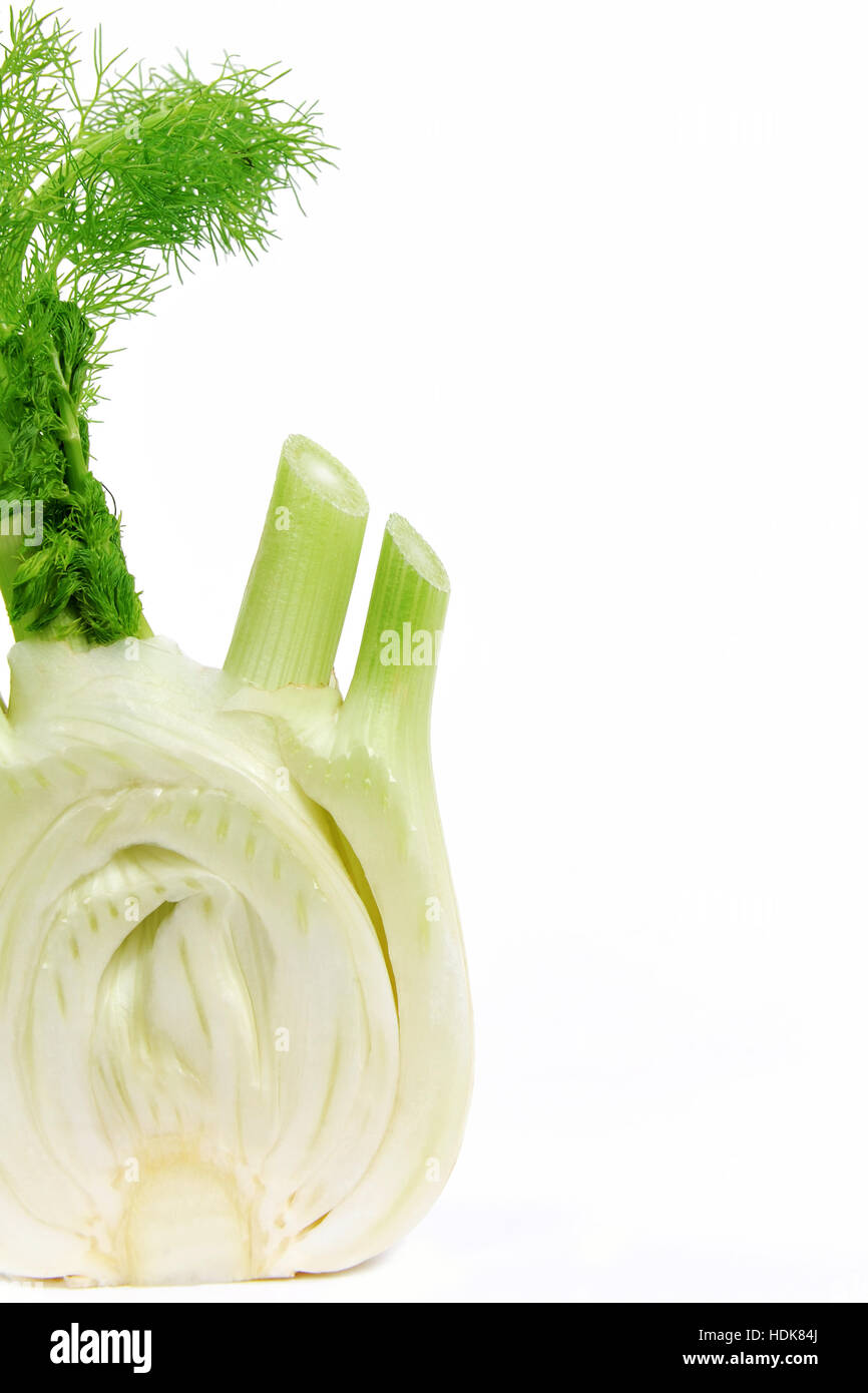 Fresh fennel cut just harvested, photographed on white background Stock ...
