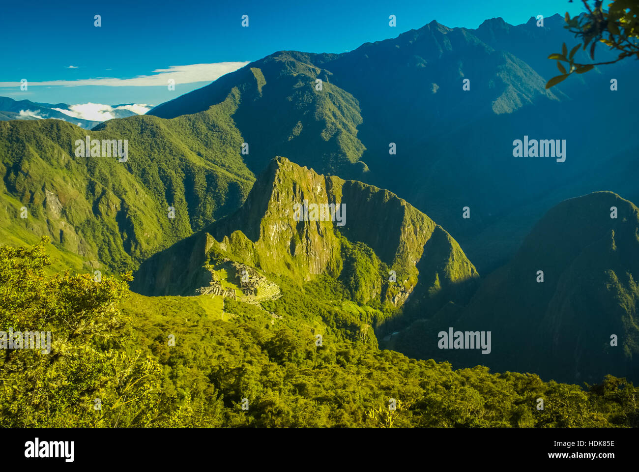 Wilderness with mountainous region and jungle full of greenery in ...