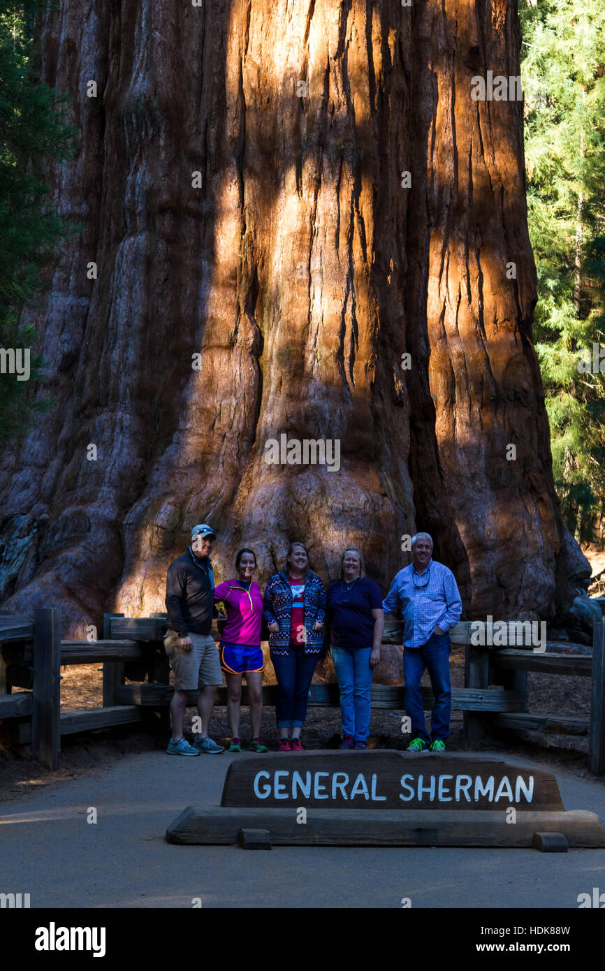 Sequoia NP, California - November 14: Family posing for a photograph ...