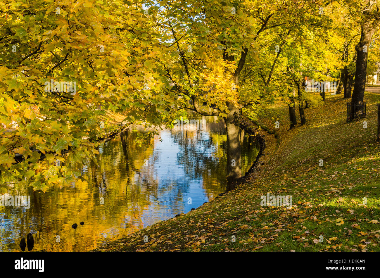 Autumn park at the channel in Riga Stock Photo - Alamy