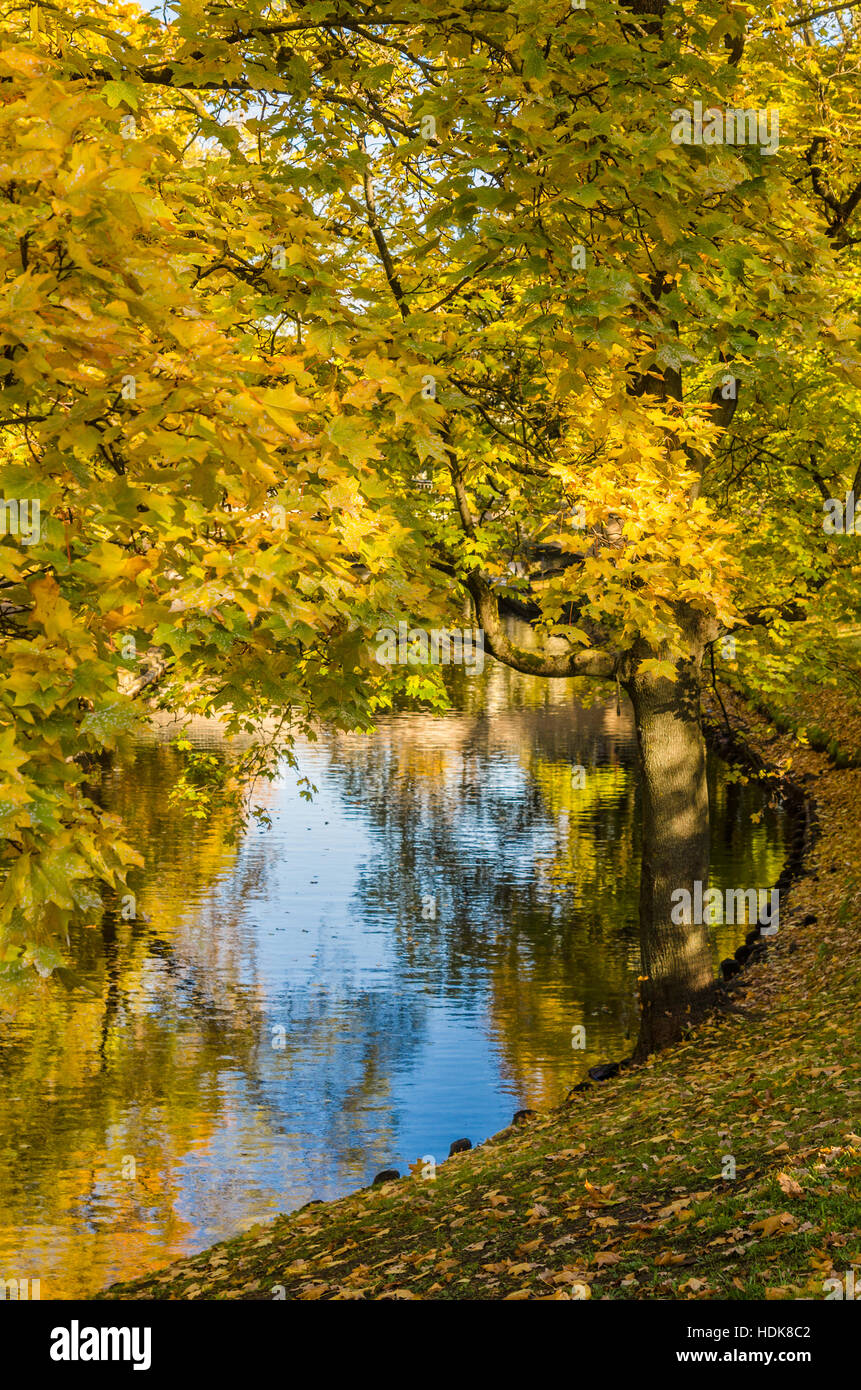 Beautiful autumn park at the channel in Riga Stock Photo - Alamy