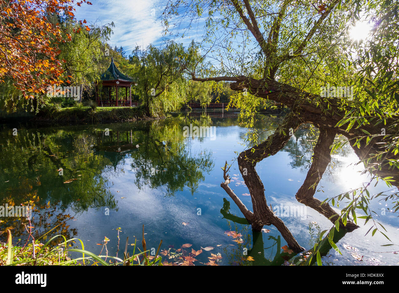 Calming autumn scene peaceful pond hi-res stock photography and images ...