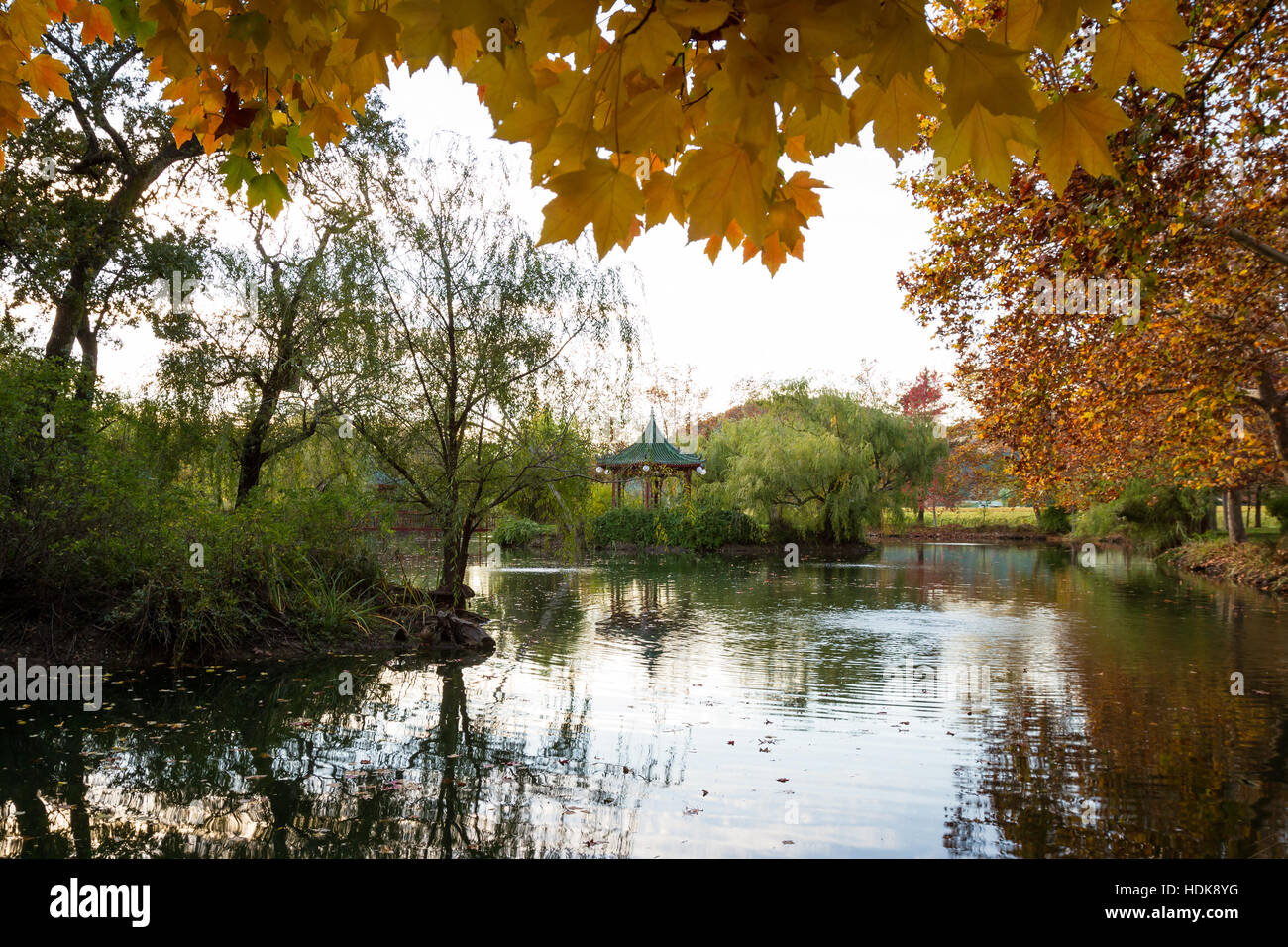 calming autumn scene with a peaceful pond and leaves in a variety of ...