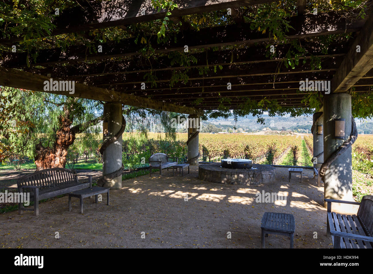 Vine covered patio hi-res stock photography and images - Alamy