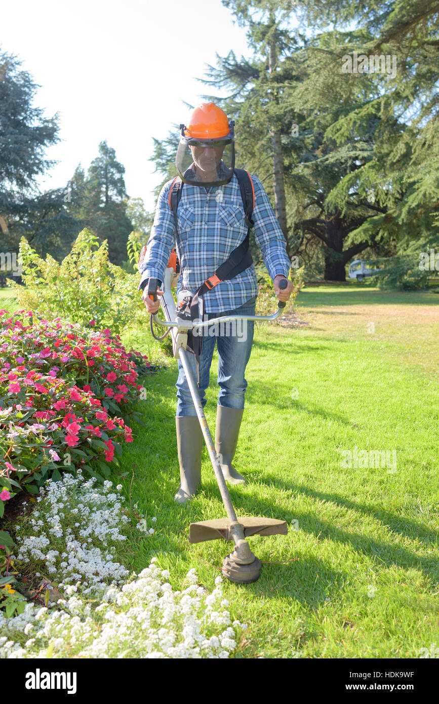 Strimming grass hi-res stock photography and images - Alamy