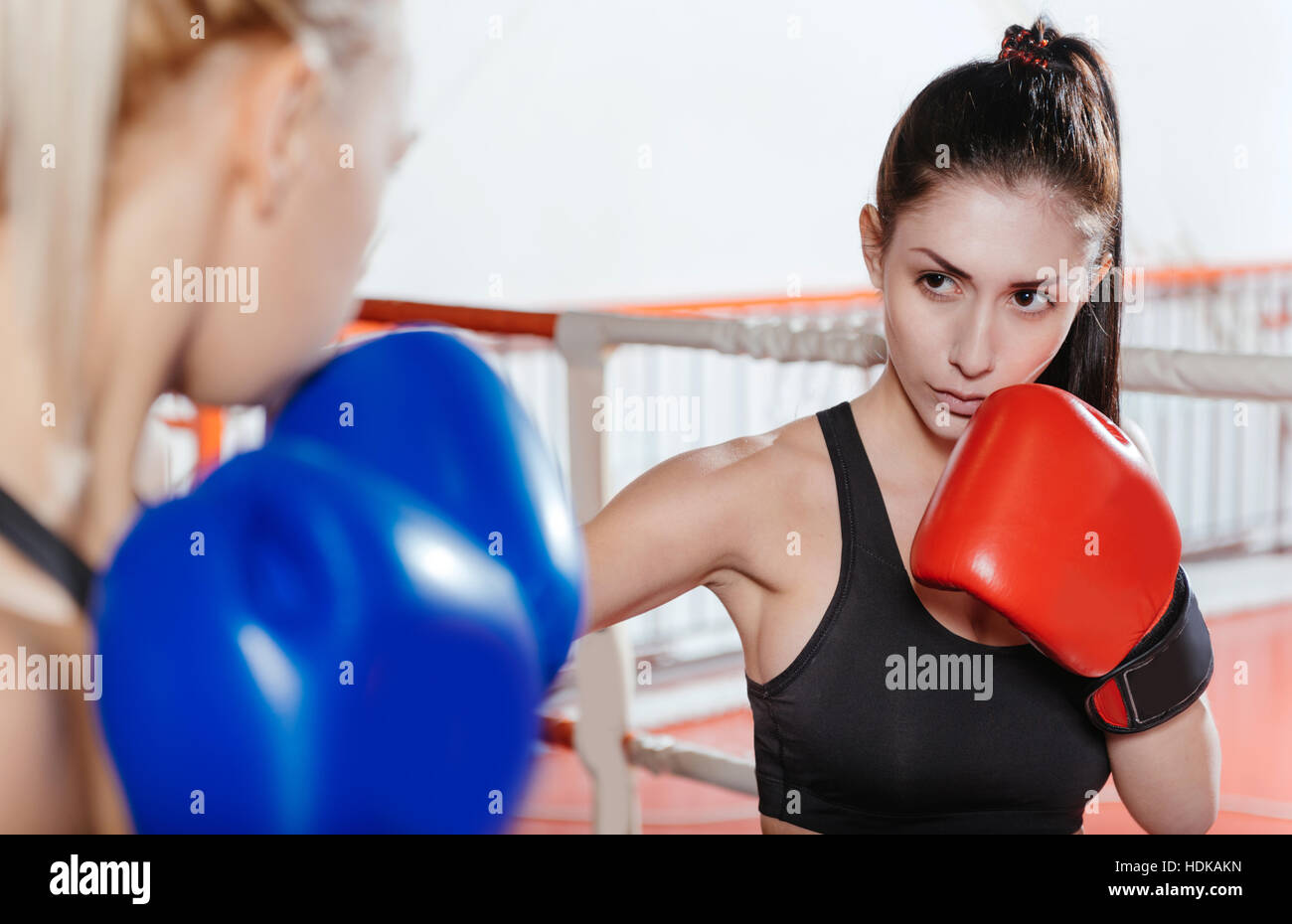 Professional boxing fight leg hi-res stock photography and images - Alamy