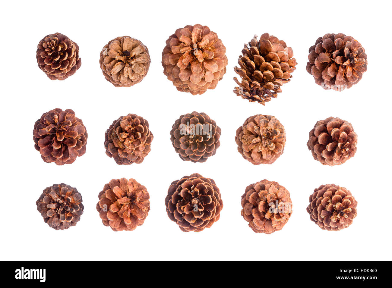 Nose on view Cut Out Stock Images & Pictures - Alamy