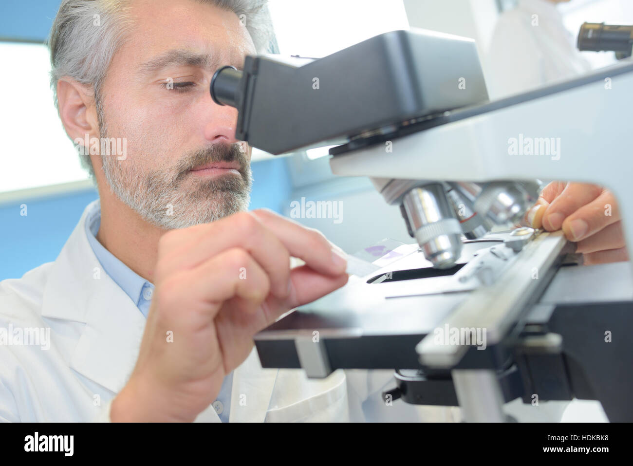 looking through microscope Stock Photo - Alamy