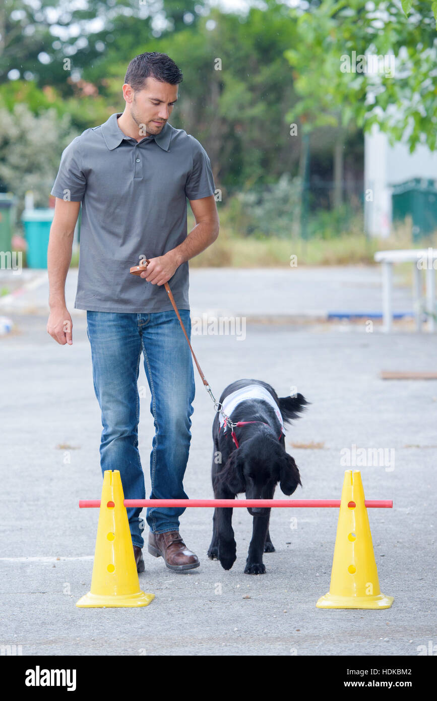 Work agility hi-res stock photography and images - Alamy