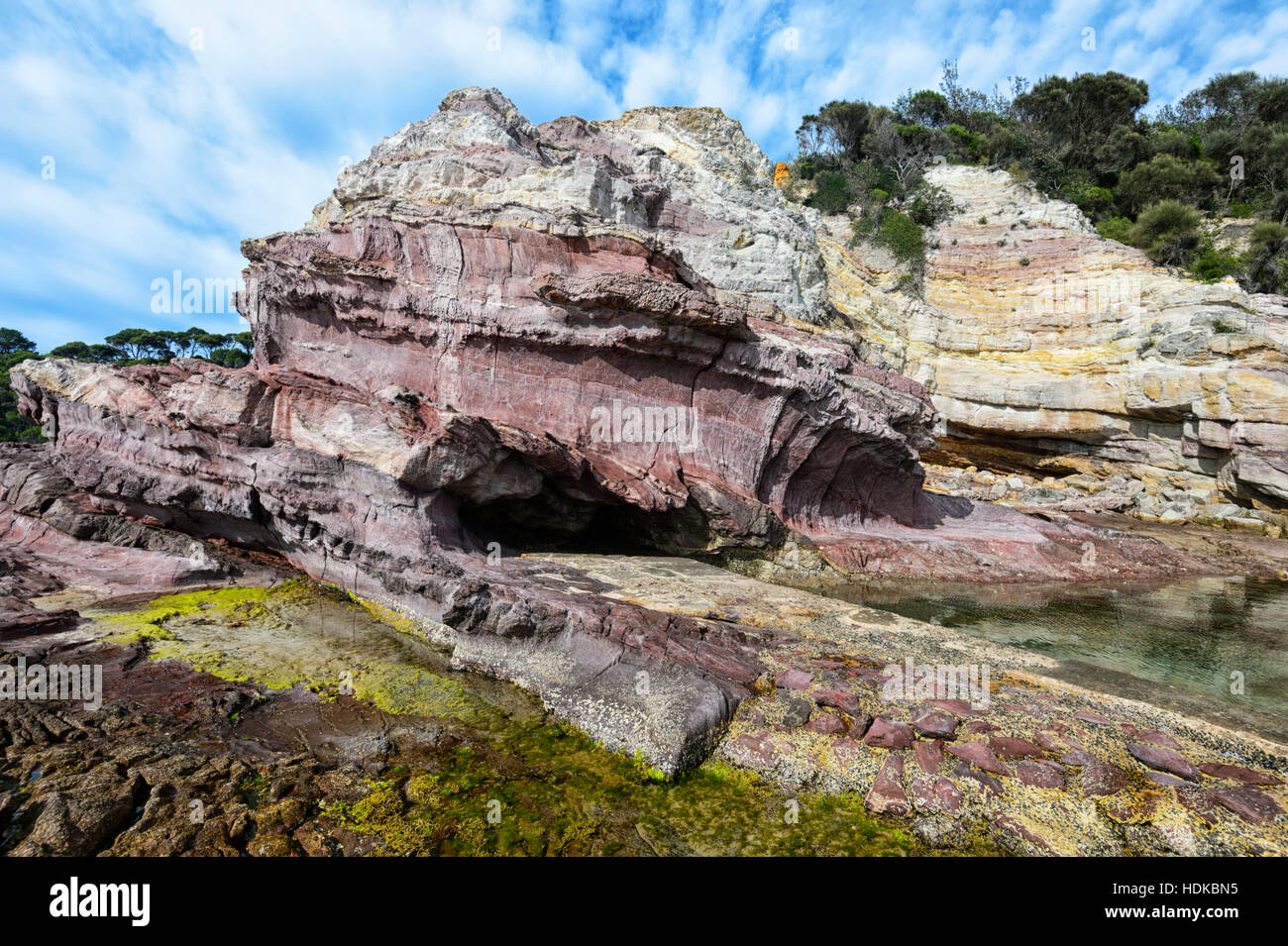 Example of Palaeozoic sedimentary rock formations, part of the Narooma ...