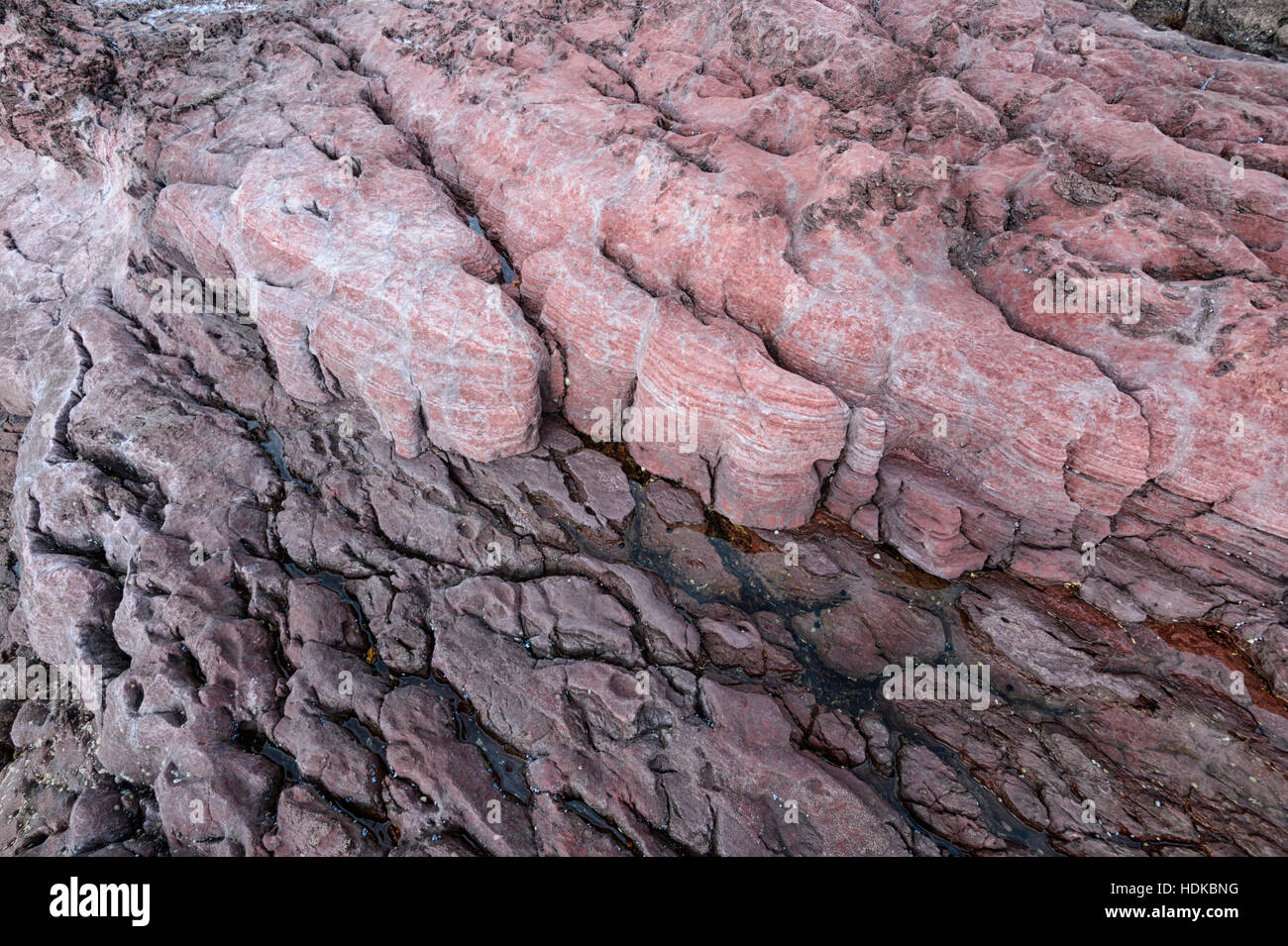Palaeozoic sedimentary rocks hi-res stock photography and images - Alamy