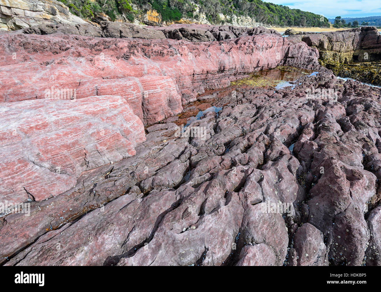 Palaeozoic sedimentary rock formations, part of the Narooma ...