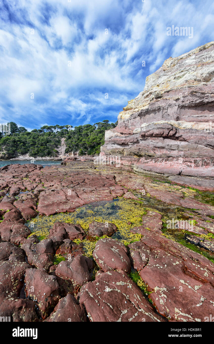 Palaeozoic sedimentary rocks hi-res stock photography and images - Alamy