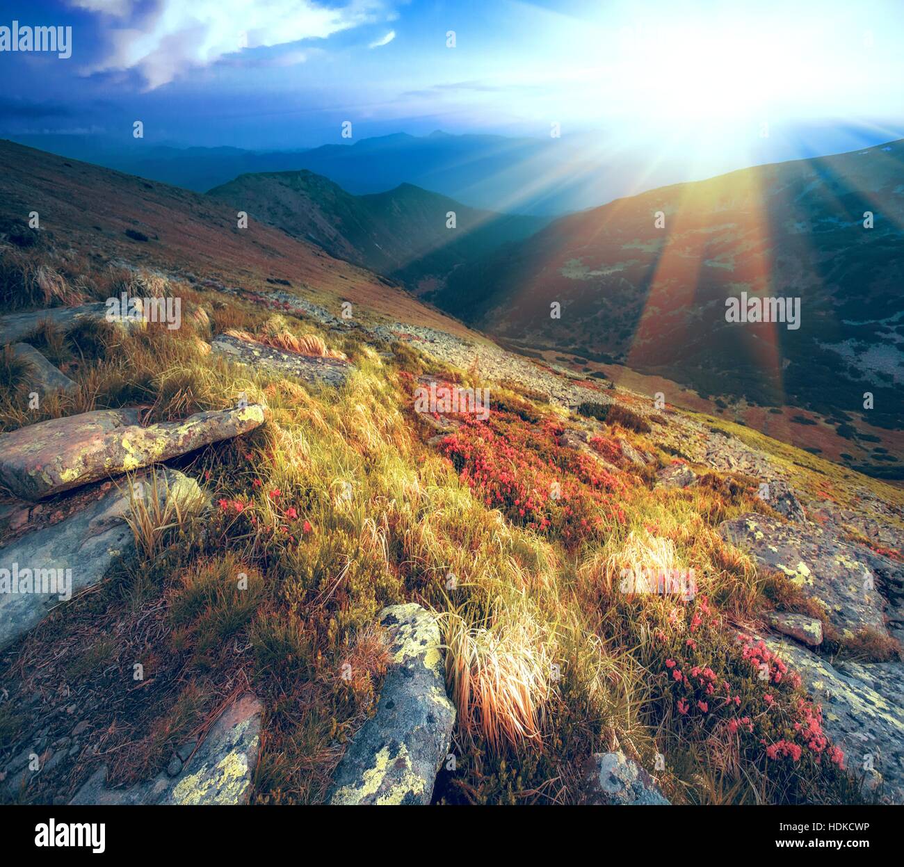 Beauty world hi-res stock photography and images - Alamy