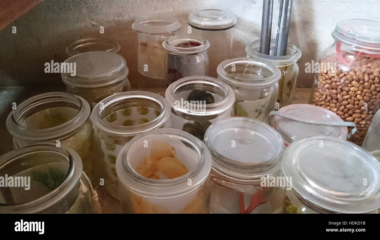 Arrangement of glass jars in a cellar for background use Stock Photo ...