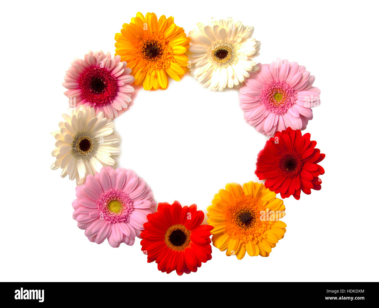 A circle of colorful flowers isolated over white Stock Photo - Alamy