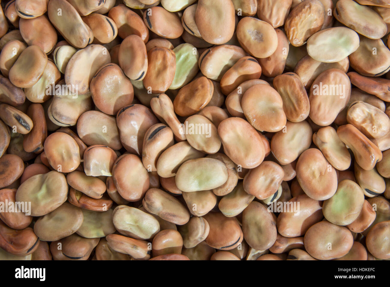 Lots of dried beans for background use Stock Photo - Alamy