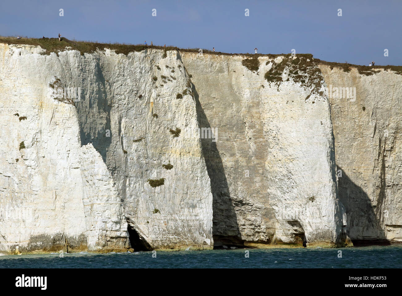 Striking chalk cliff structures from Swanage Ballard Point to Handfast ...