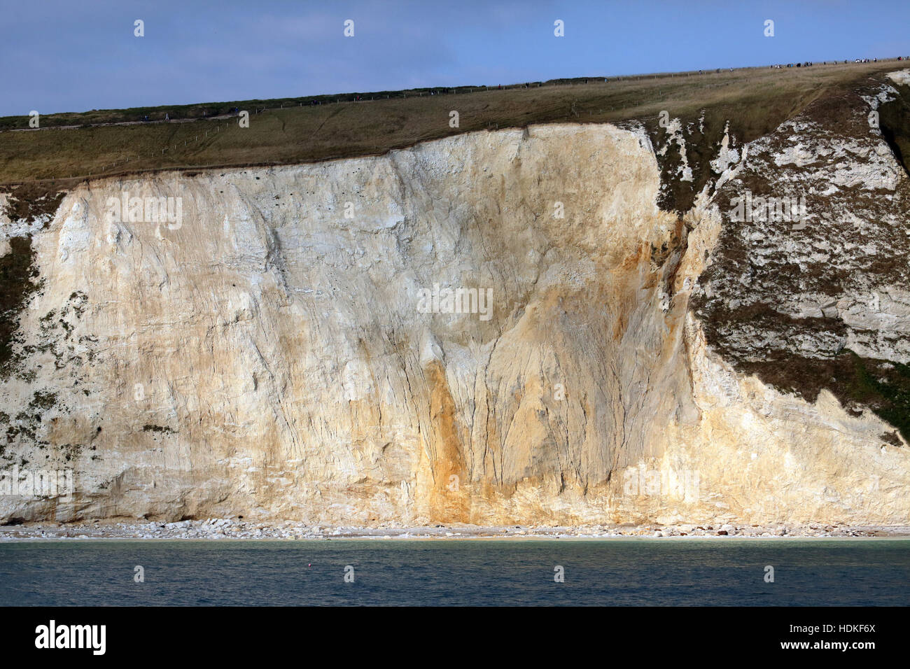 Chalk cliff face overlooking St Oswald's Bay Dorset UK in autumn ...