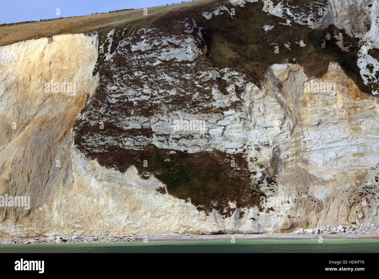 Sea facing chalk and limestone cliff structure between Durdle Door and ...