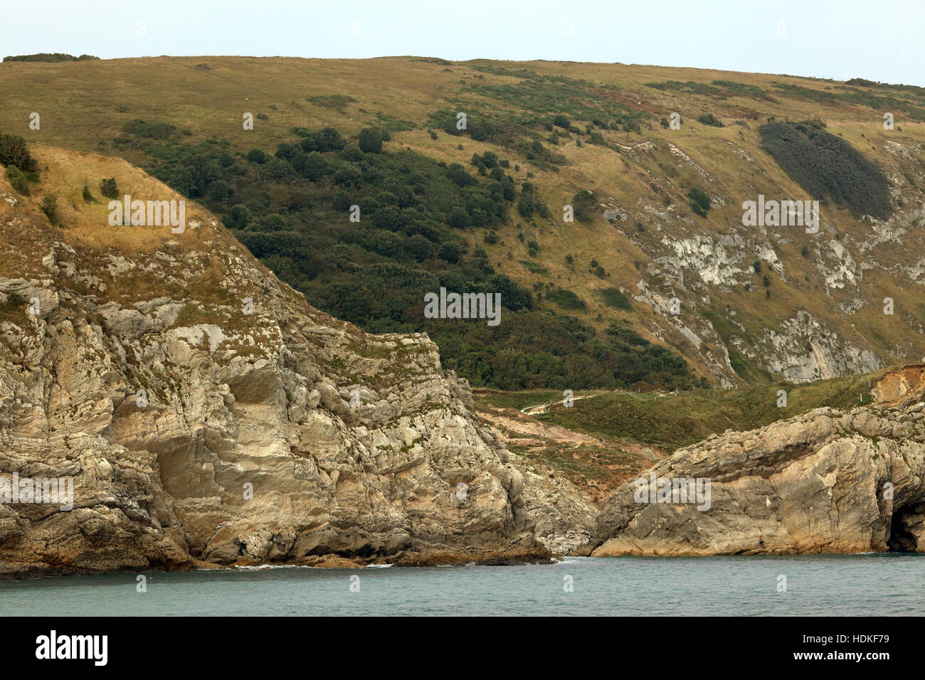 Sea facing limestone cliff structure at Stair Hole near Lulworth Cove ...