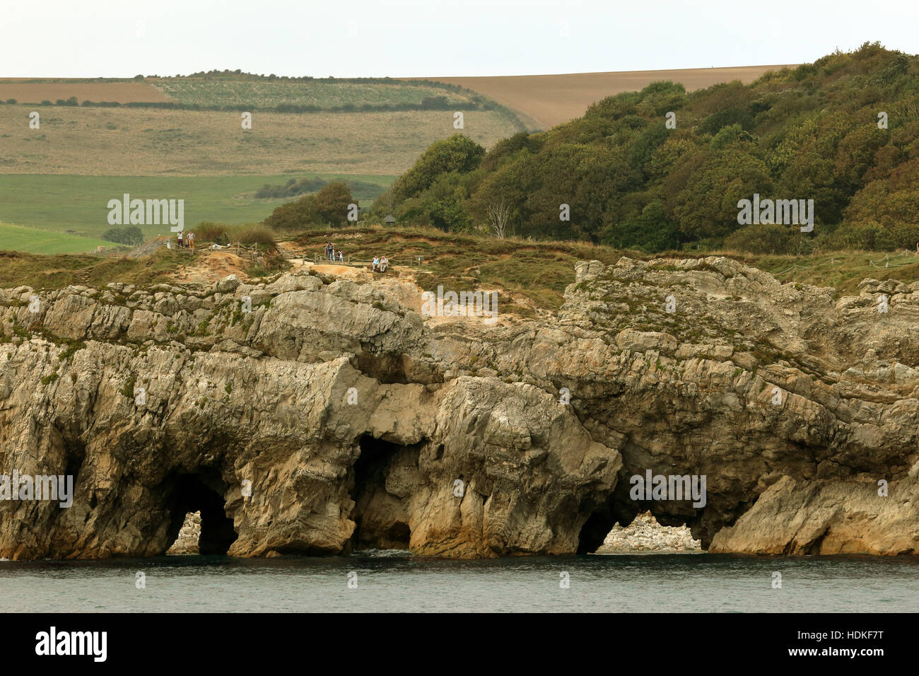 Sea facing limestone cliff structure at Stair Hole near Lulworth Cove ...