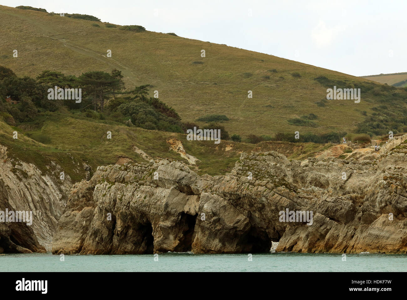 Sea facing limestone cliff structure at Stair Hole near Lulworth Cove ...