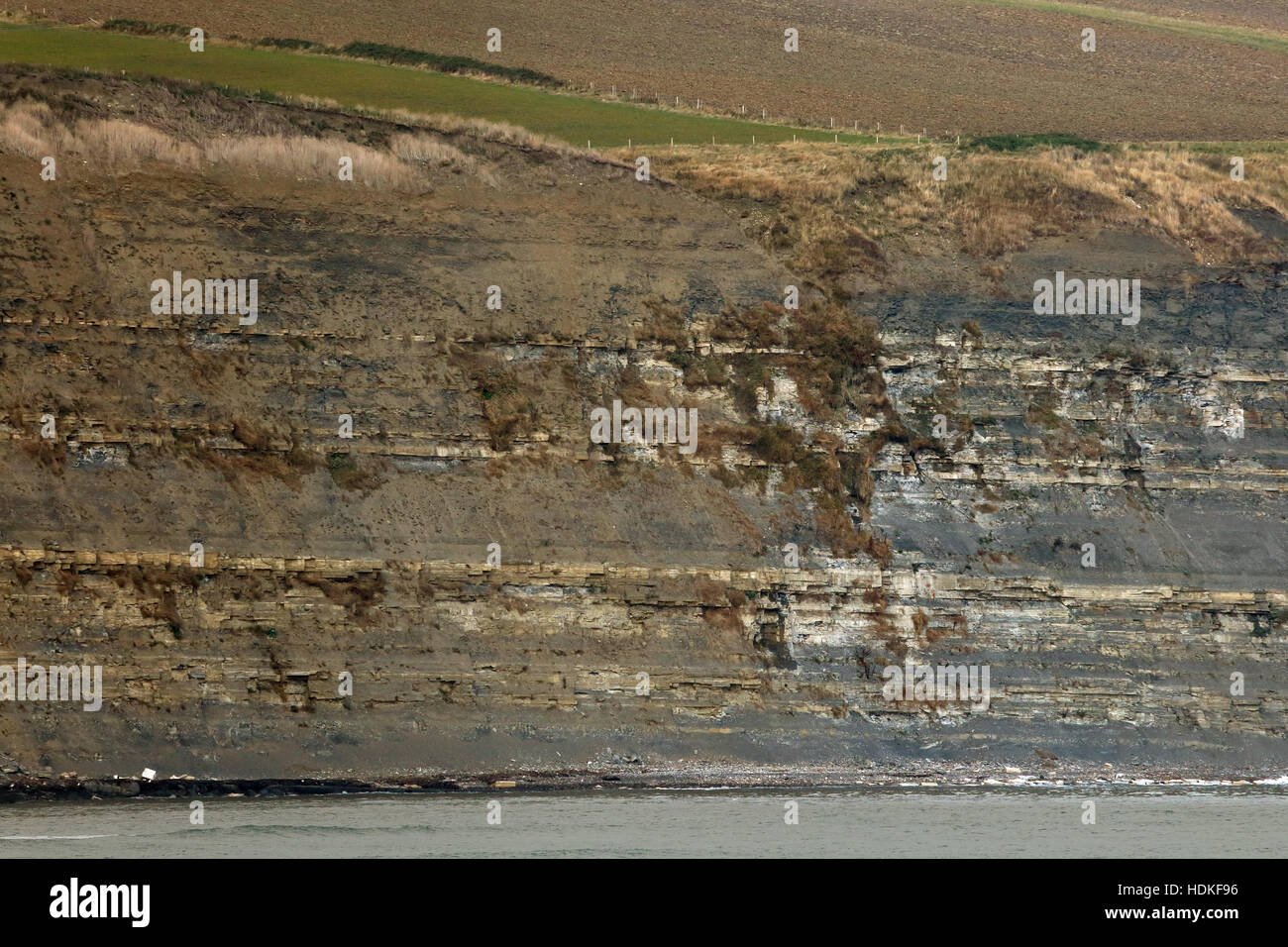 Oil bearing shale and rock strata in cliffs at Clavell's Hard near ...