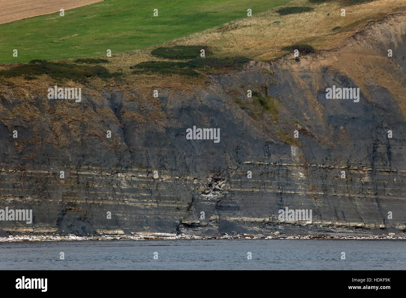 Oil bearing shale and rock strata in cliffs at Clavell's Hard near ...