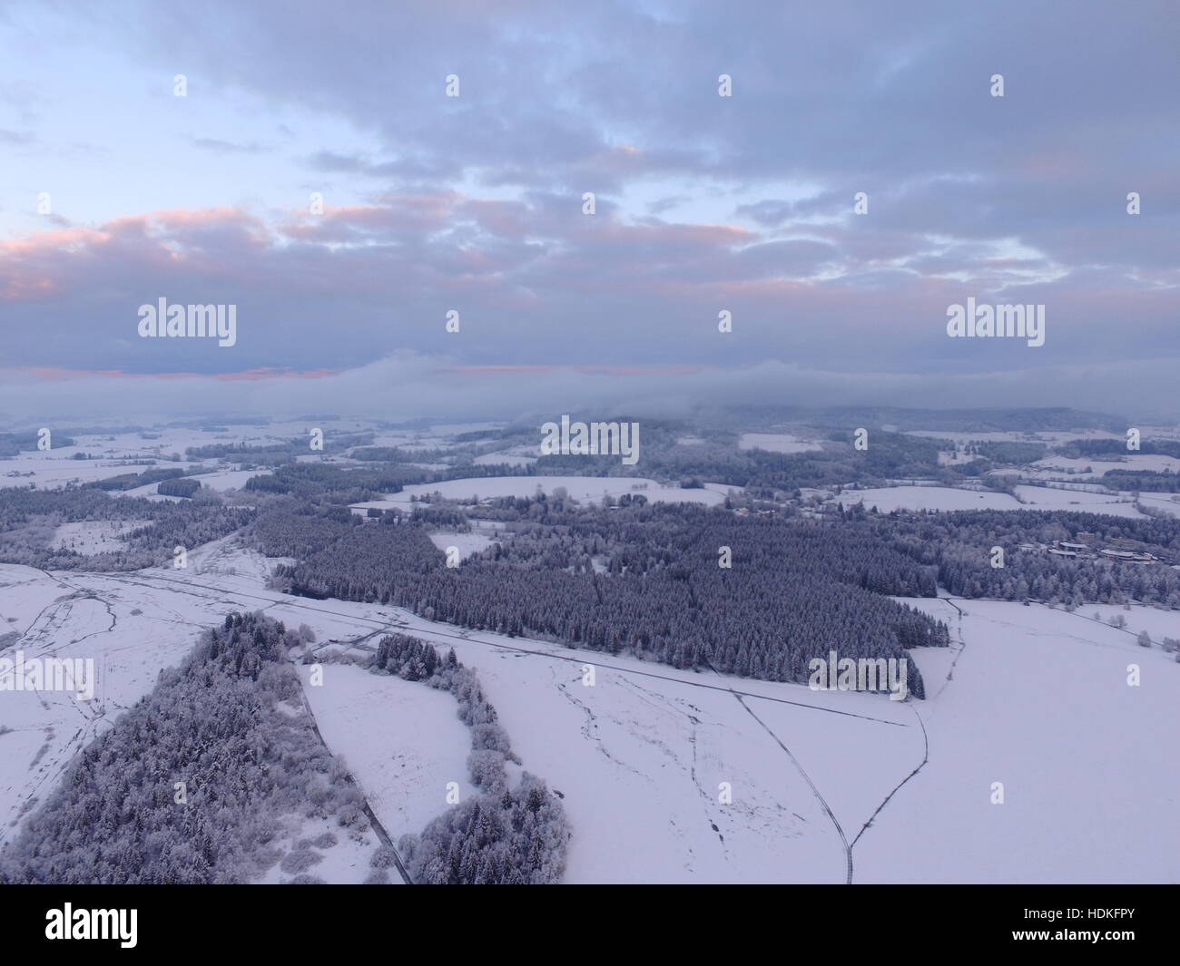 Winter forest view hi-res stock photography and images - Alamy