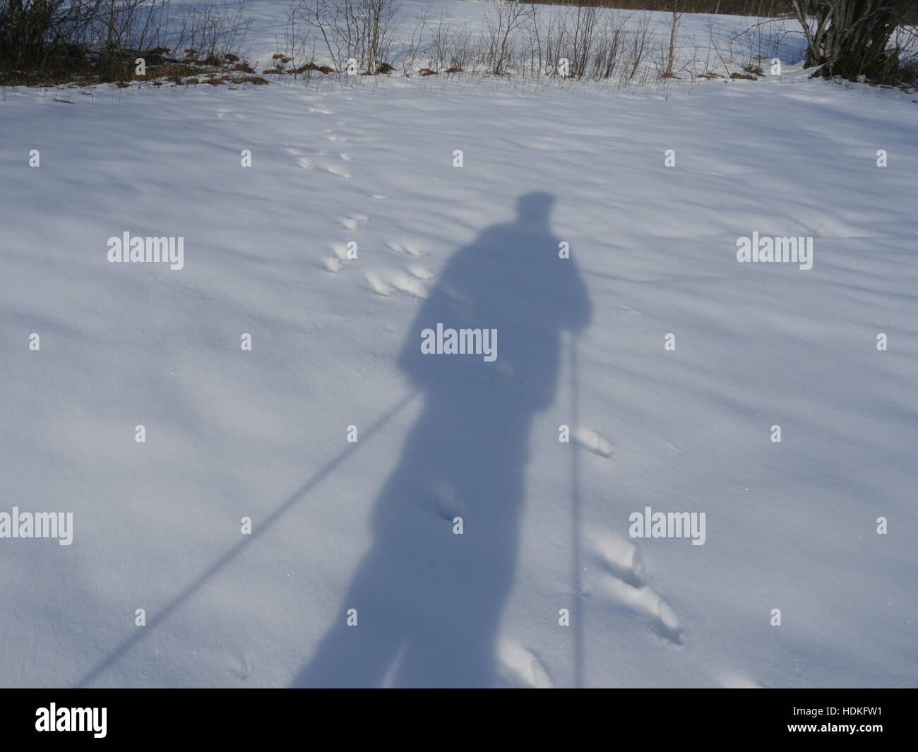 shadow of skier on snow Stock Photo - Alamy