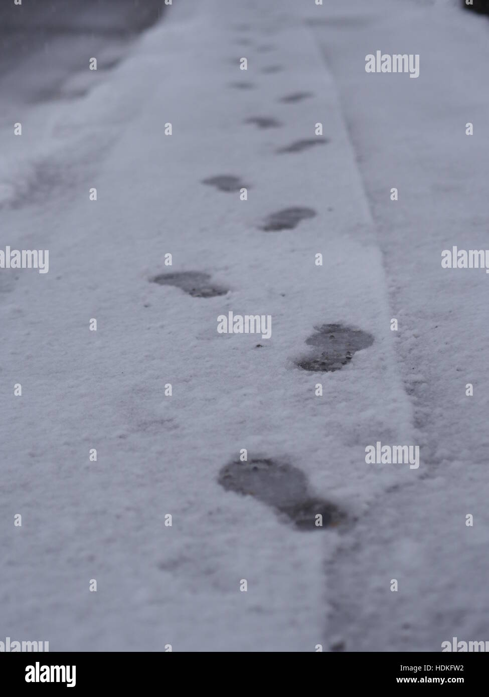 footsteps in snow Stock Photo - Alamy