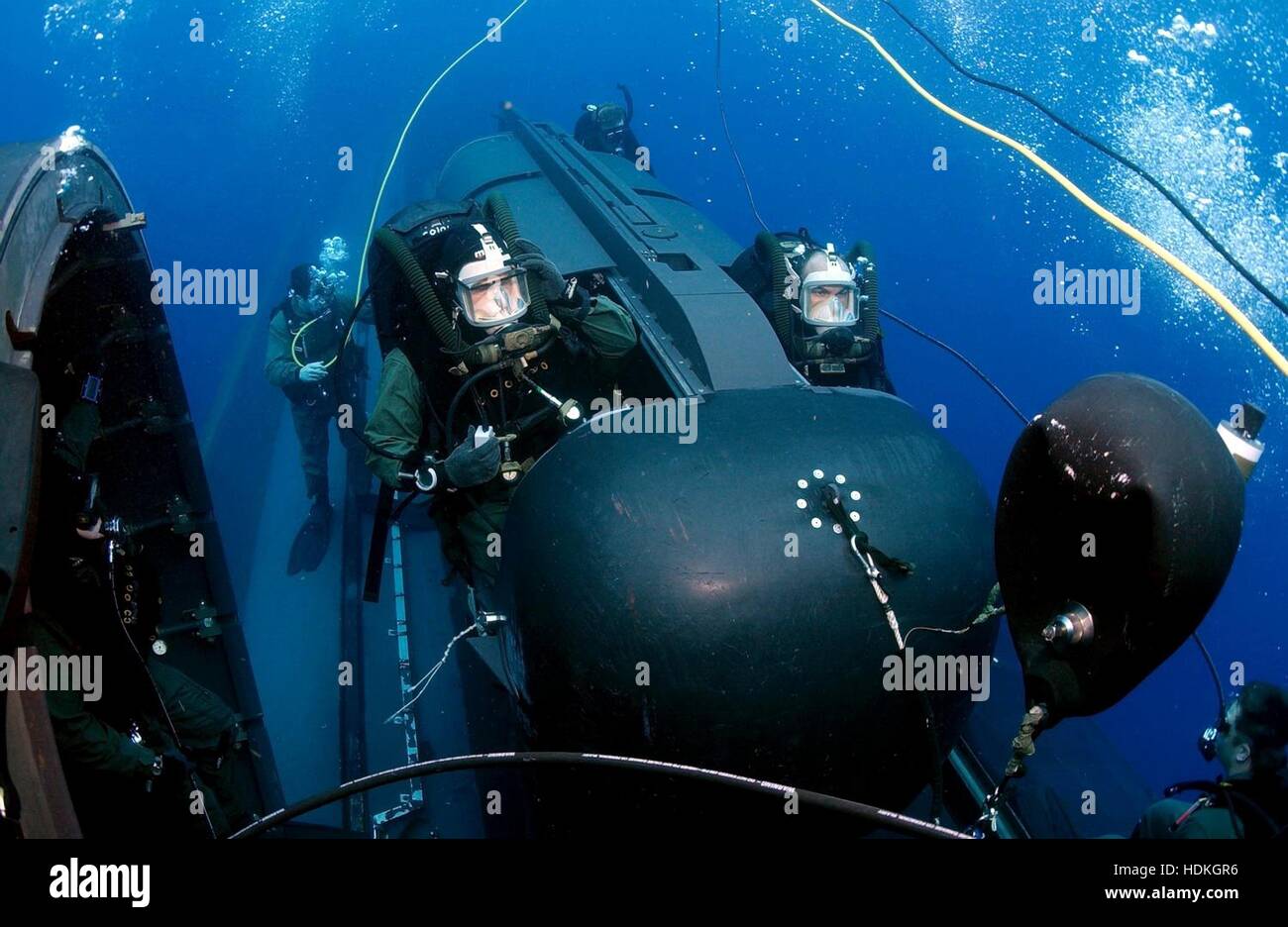 Udt Navy Seal Diver Shorts