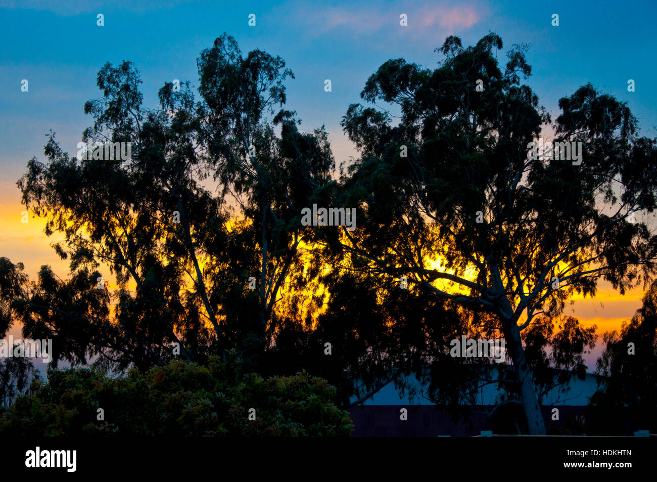 Romantic sunset behind the tree hi-res stock photography and images - Alamy