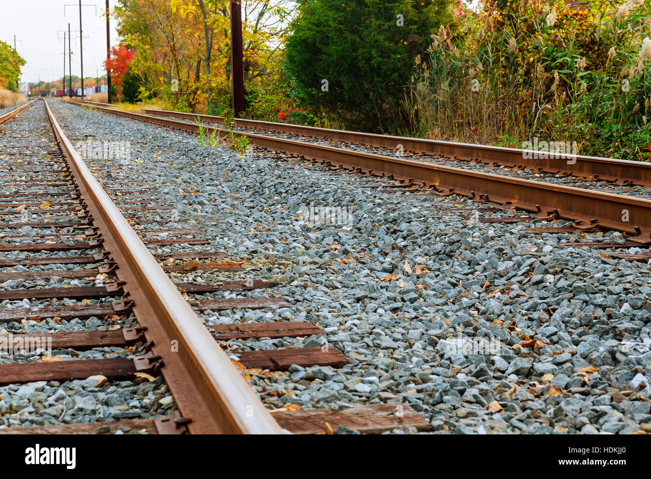 Railroad scene with cargo train road railway wagons Stock Photo - Alamy