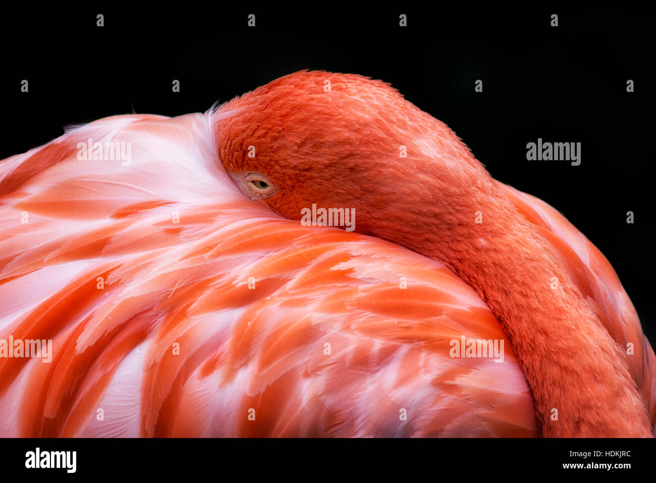 Eyeful hi-res stock photography and images - Alamy