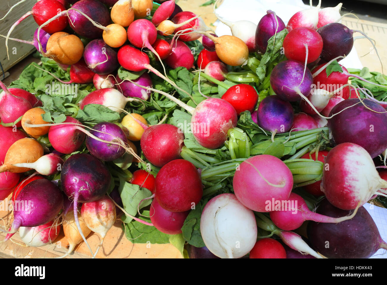 Radish - John Gollop Stock Photo - Alamy