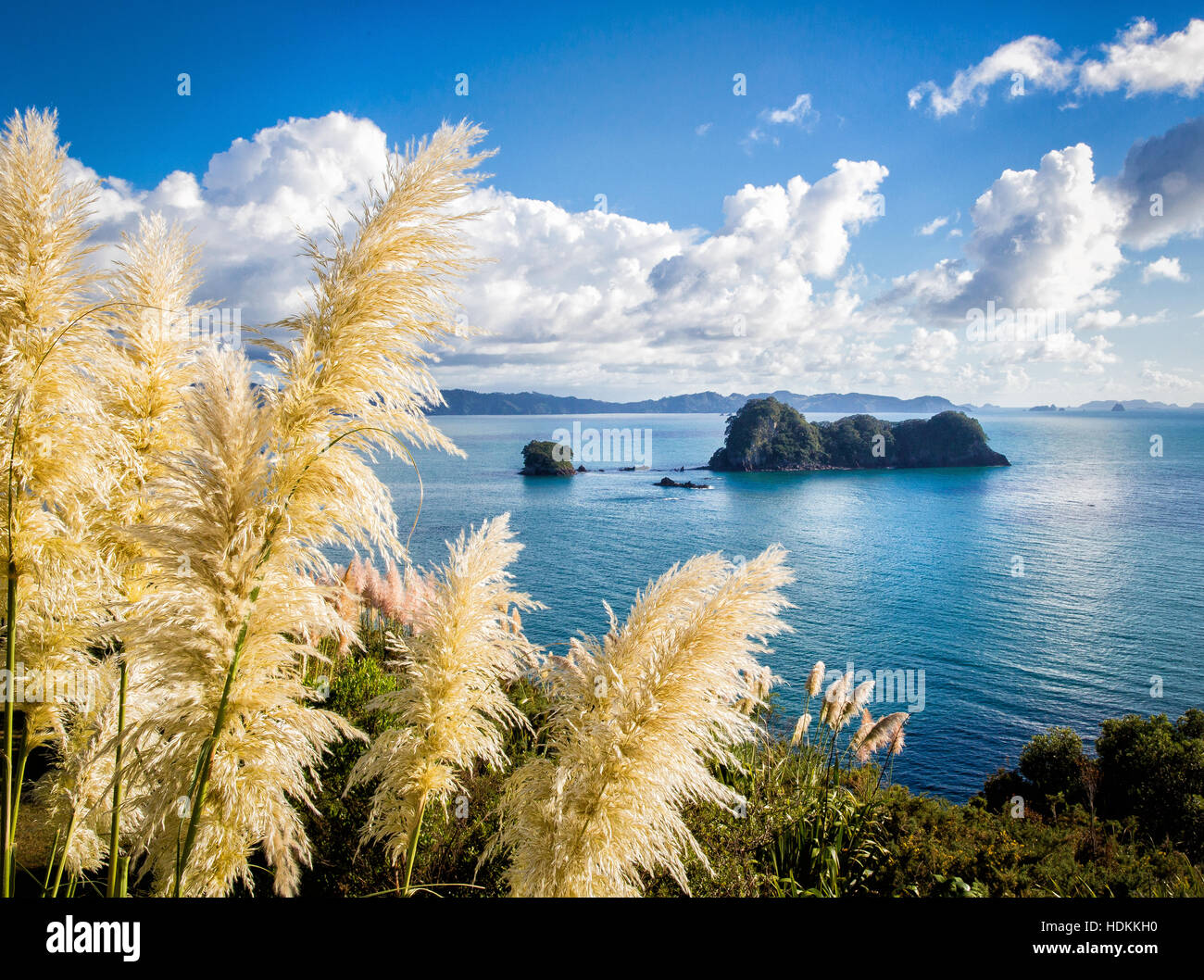 The Coromandel coast of North Island New Zealand near Hahei and ...