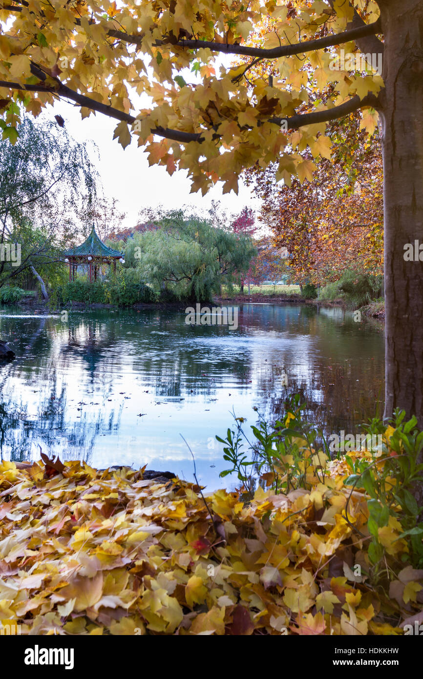 calming autumn scene with a peaceful pond and leaves in a variety of ...
