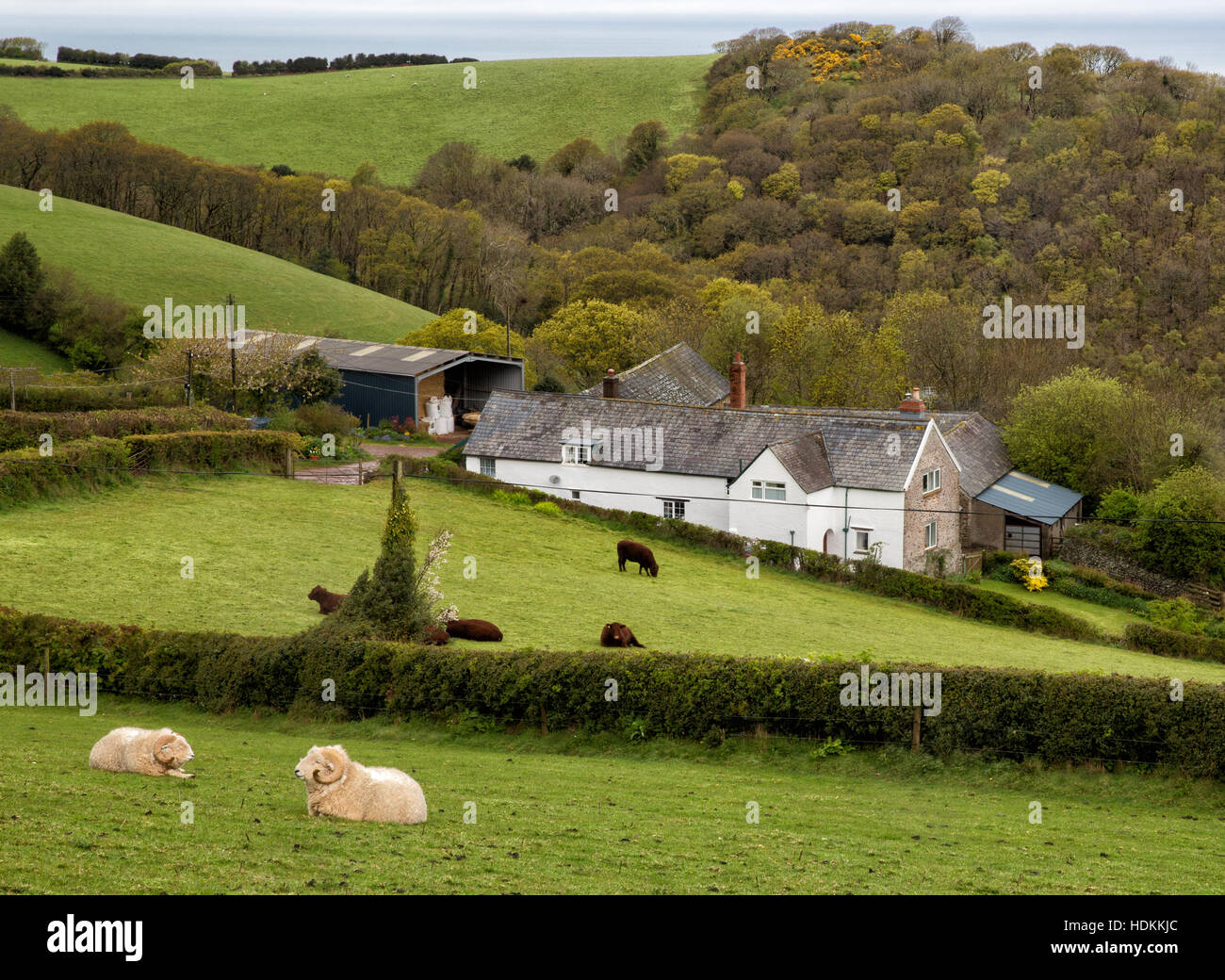 Person from porlock hi-res stock photography and images - Alamy