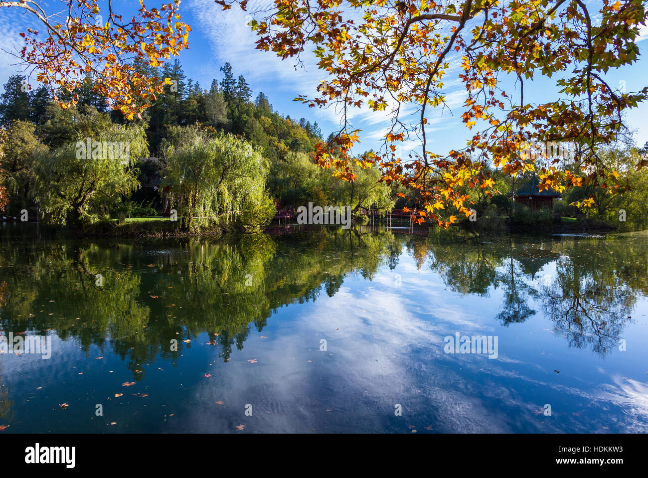 calming autumn scene with a peaceful pond and leaves in a variety of ...