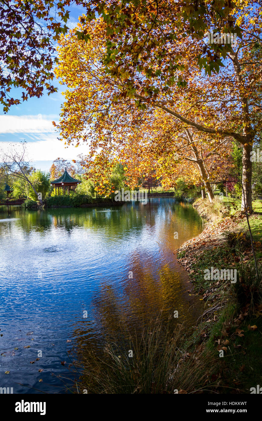 calming autumn scene with a peaceful pond and leaves in a variety of ...