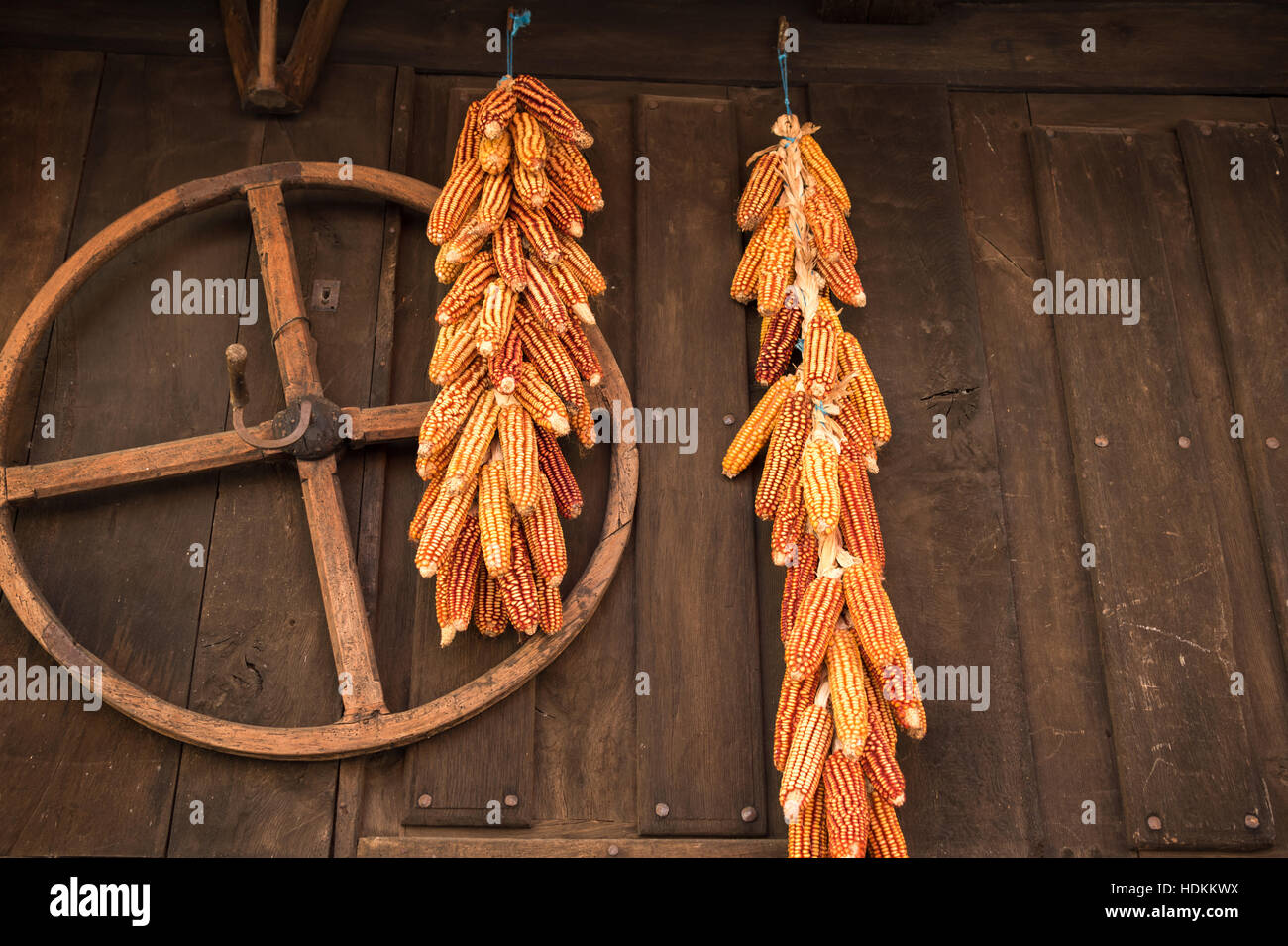 Maize drying in wood wall Stock Photo - Alamy