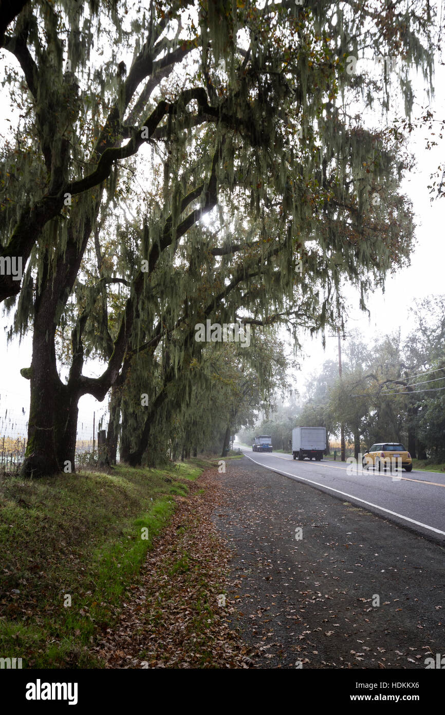 Moss on truck hi-res stock photography and images - Alamy