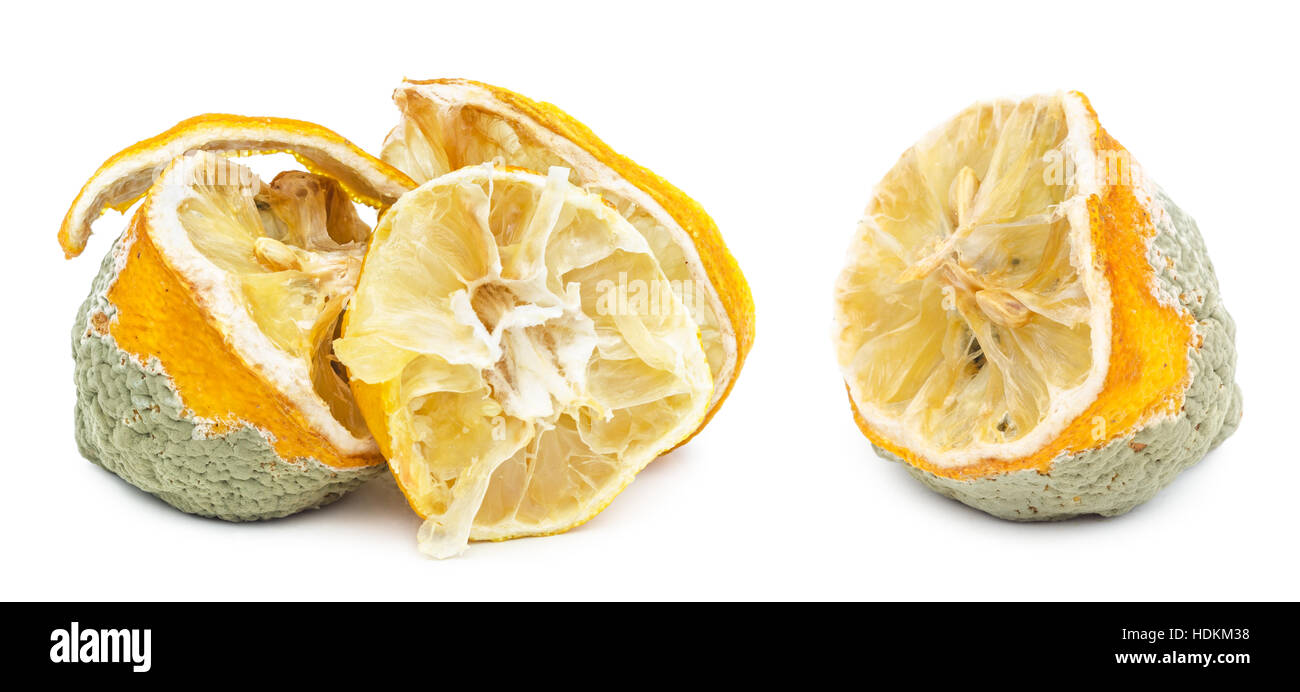Rotten, moldy and decomposing organic lemon isolated on white ...