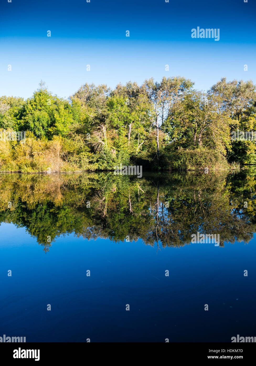 Trees in Autumn , River Thames, Sonning nr Reading, Berkshire, England ...