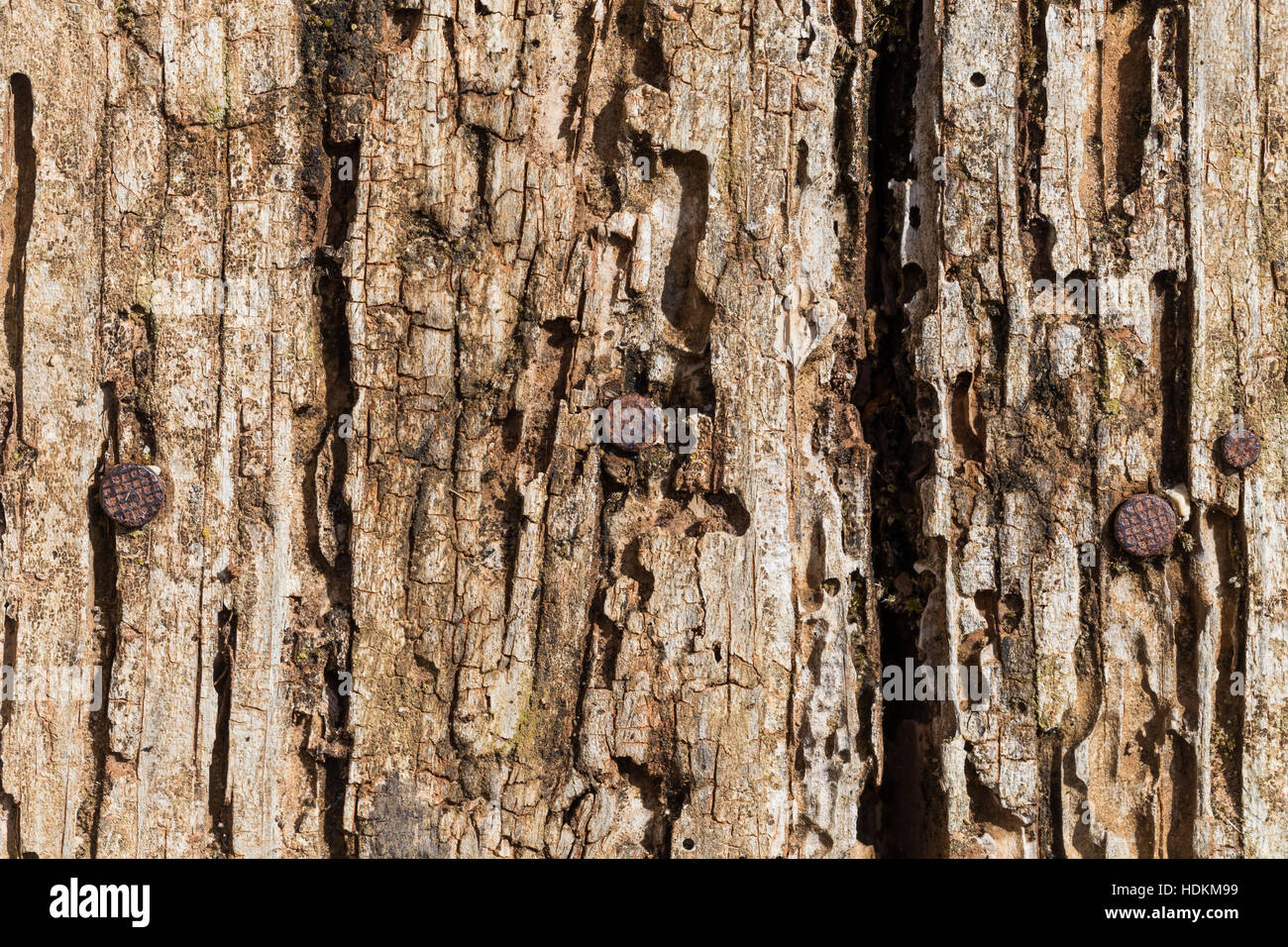 Very old wood as a texture background Stock Photo - Alamy