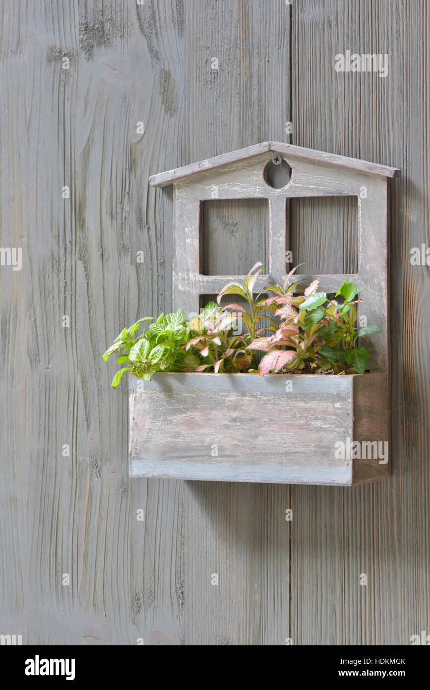 Flowerpot decoration hi-res stock photography and images - Alamy