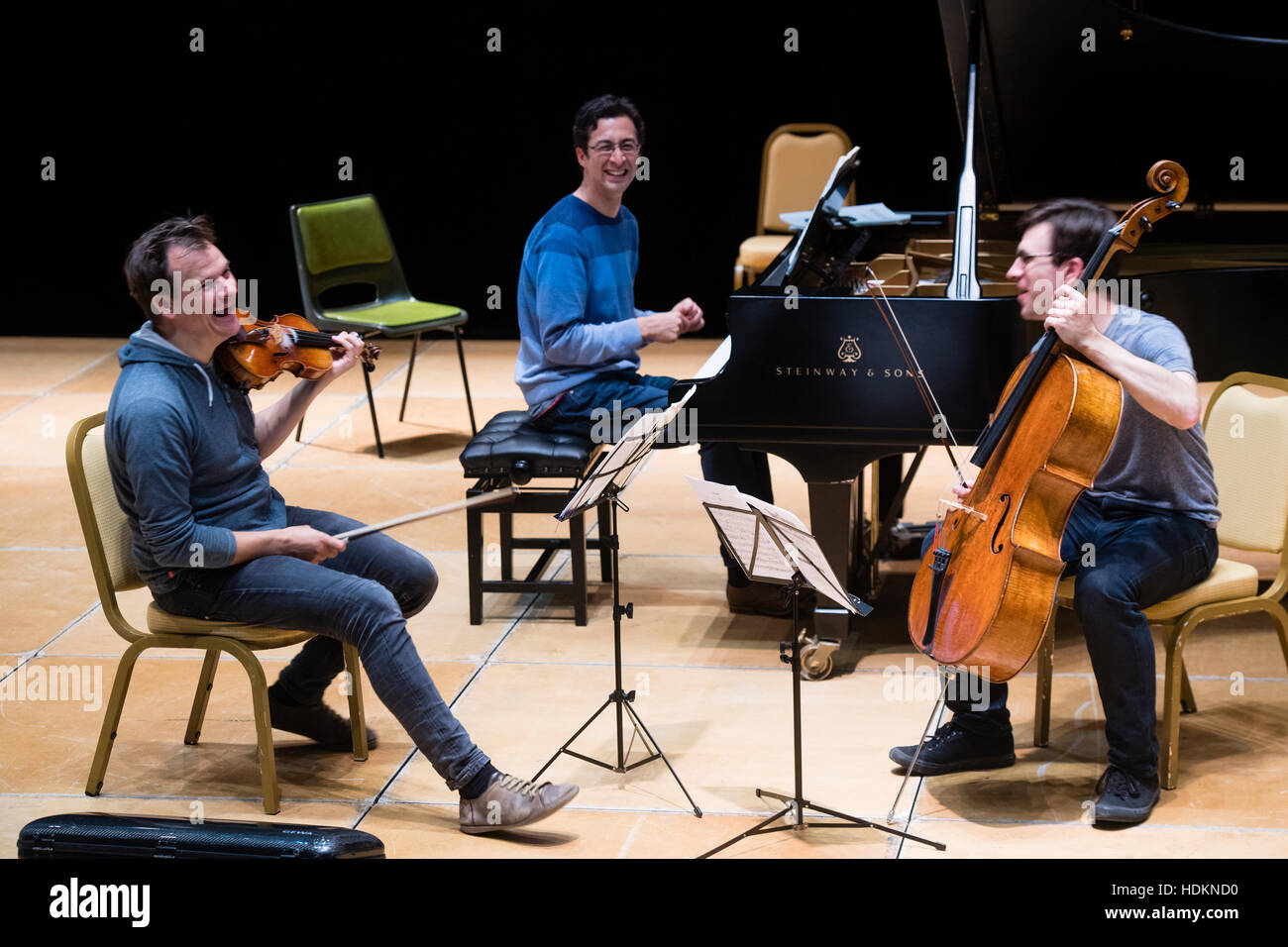 Tom Poster (piano), Guy Johnston (cello) and Magnus Johnston (violin ...